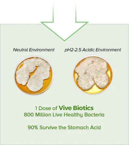 Vive Biotics | Perfect Origins
